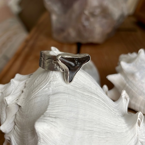 Jewelry | Shark Tooth Ring 55 | Poshmark